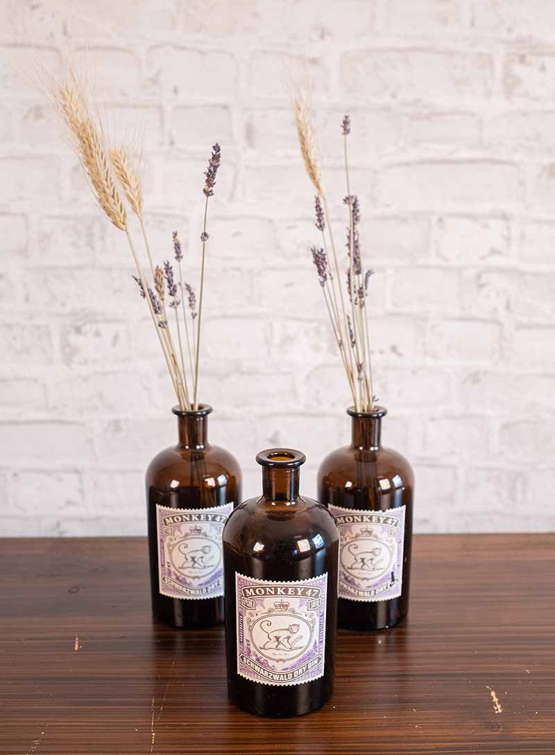 Ginflasche Monkeys für Hochzeit & Event in Koblenz mieten